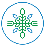 Packaging | Dharma Food Group